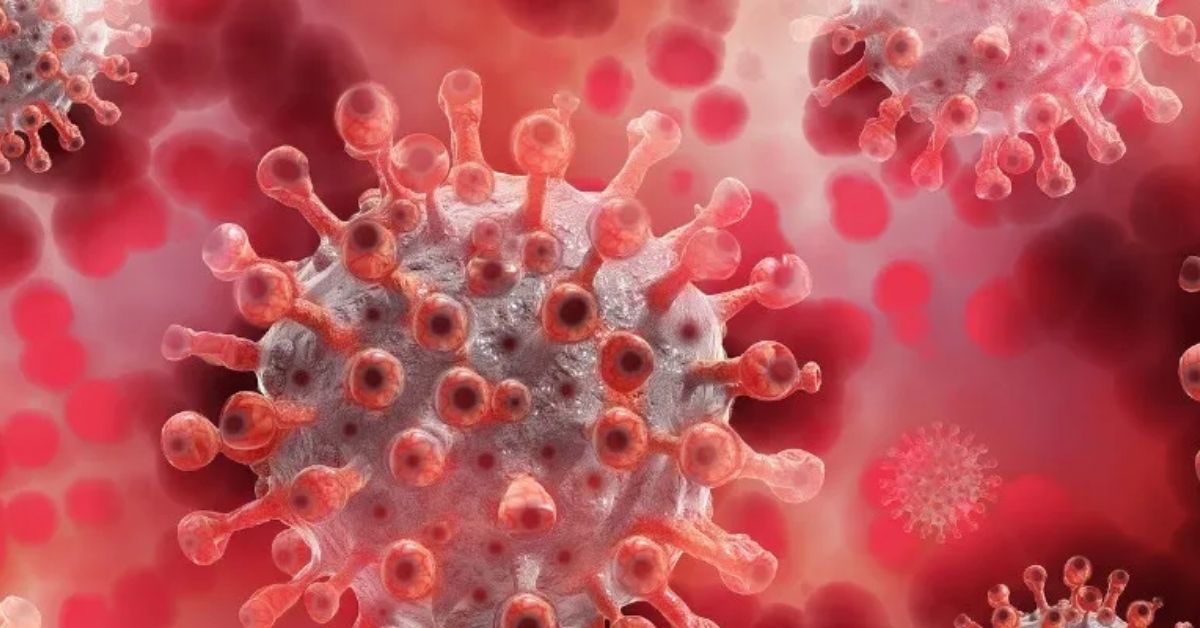 Covid-19 - Success Centre